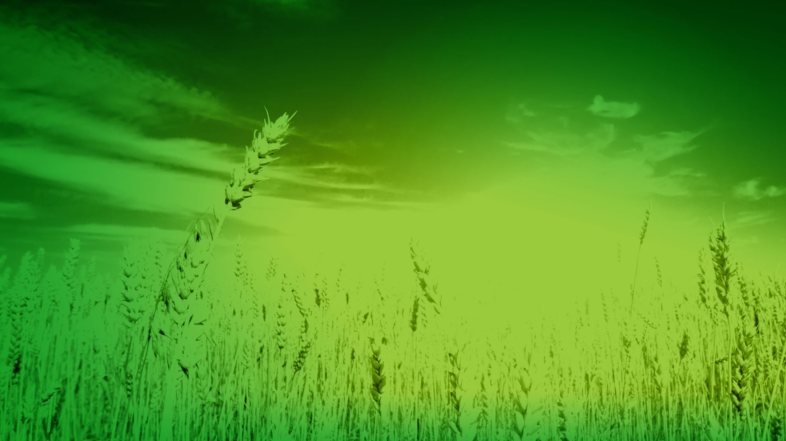 WKFC Underwriting Managers