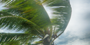 Property – WKFC Underwriting Managers